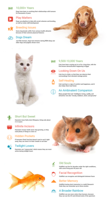 Facts & Figures examples - Infogram